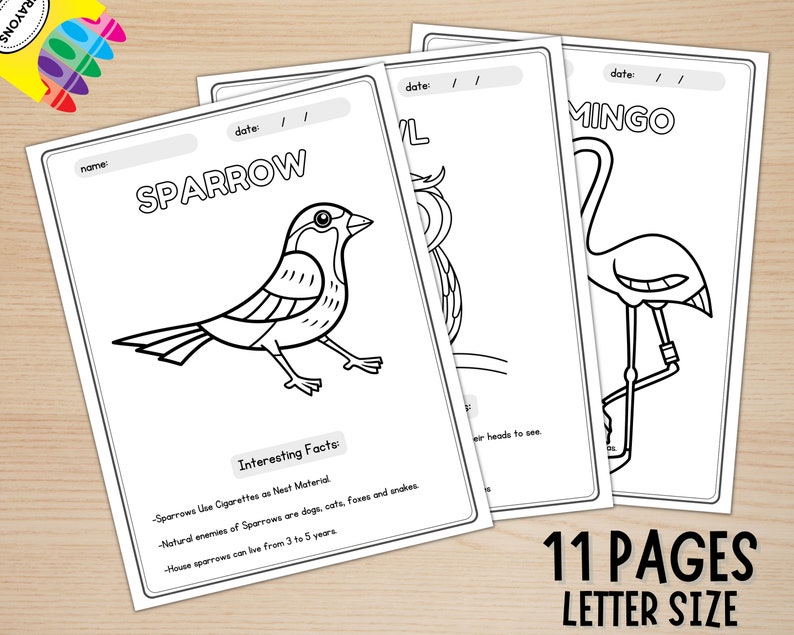 Printable Birds Coloring Pages With Interesting Facts Flying - Etsy