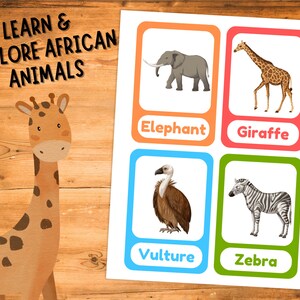 African Animals Printable Flashcards | African Animal Learning Cards ...