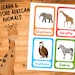 African Animals Printable Flashcards | African Animal Learning Cards ...