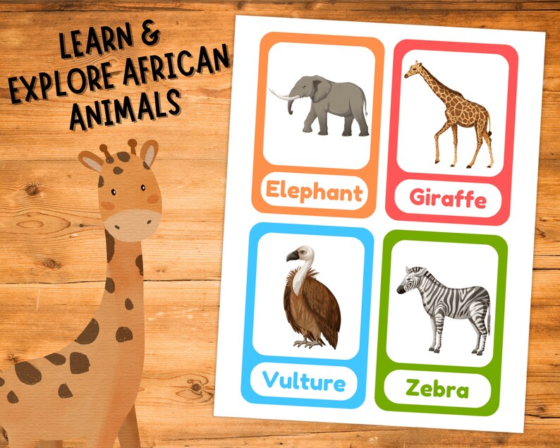 African Animals Printable Flashcards | African Animal Learning Cards ...