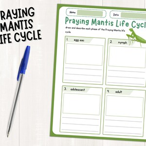 Printable Animal Life Cycle Research Project Templates, Animal Research ...
