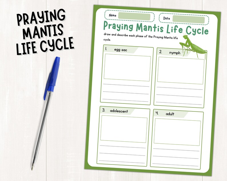 Printable Animal Life Cycle Research Project Templates, Animal Research ...