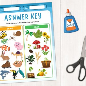 Plant or Animal Sorting Activity | Plant and Animal Printable ...