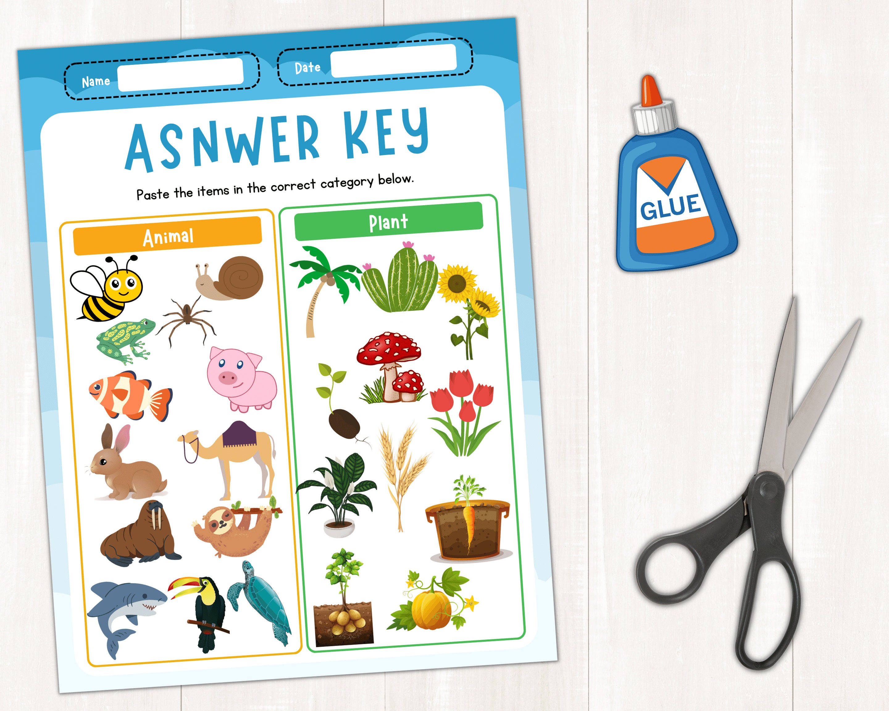 Plant or Animal Sorting Activity | Plant and Animal Printable ...