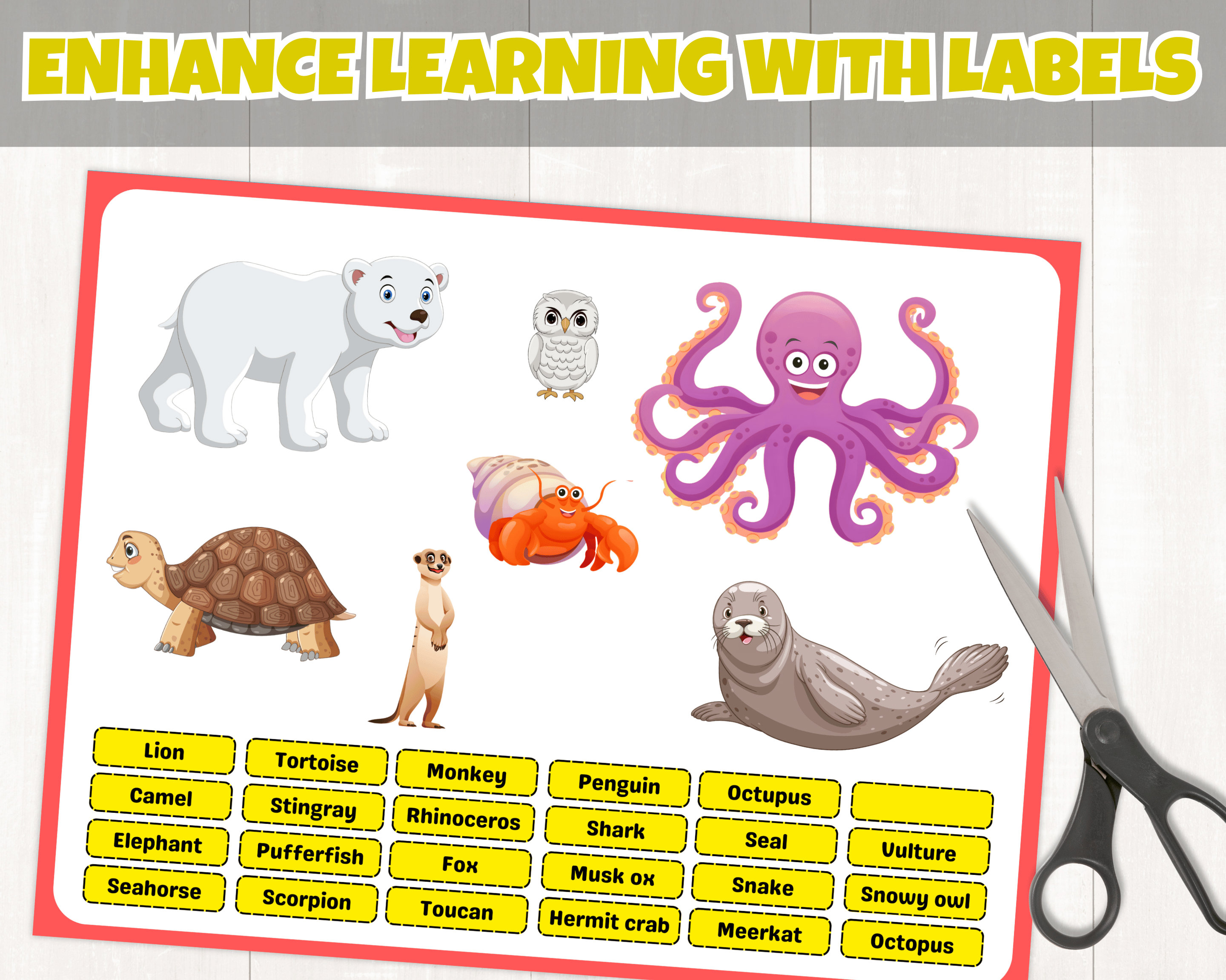 Animal Habitats Matching Activity | Animals and Their Habitats Matching ...