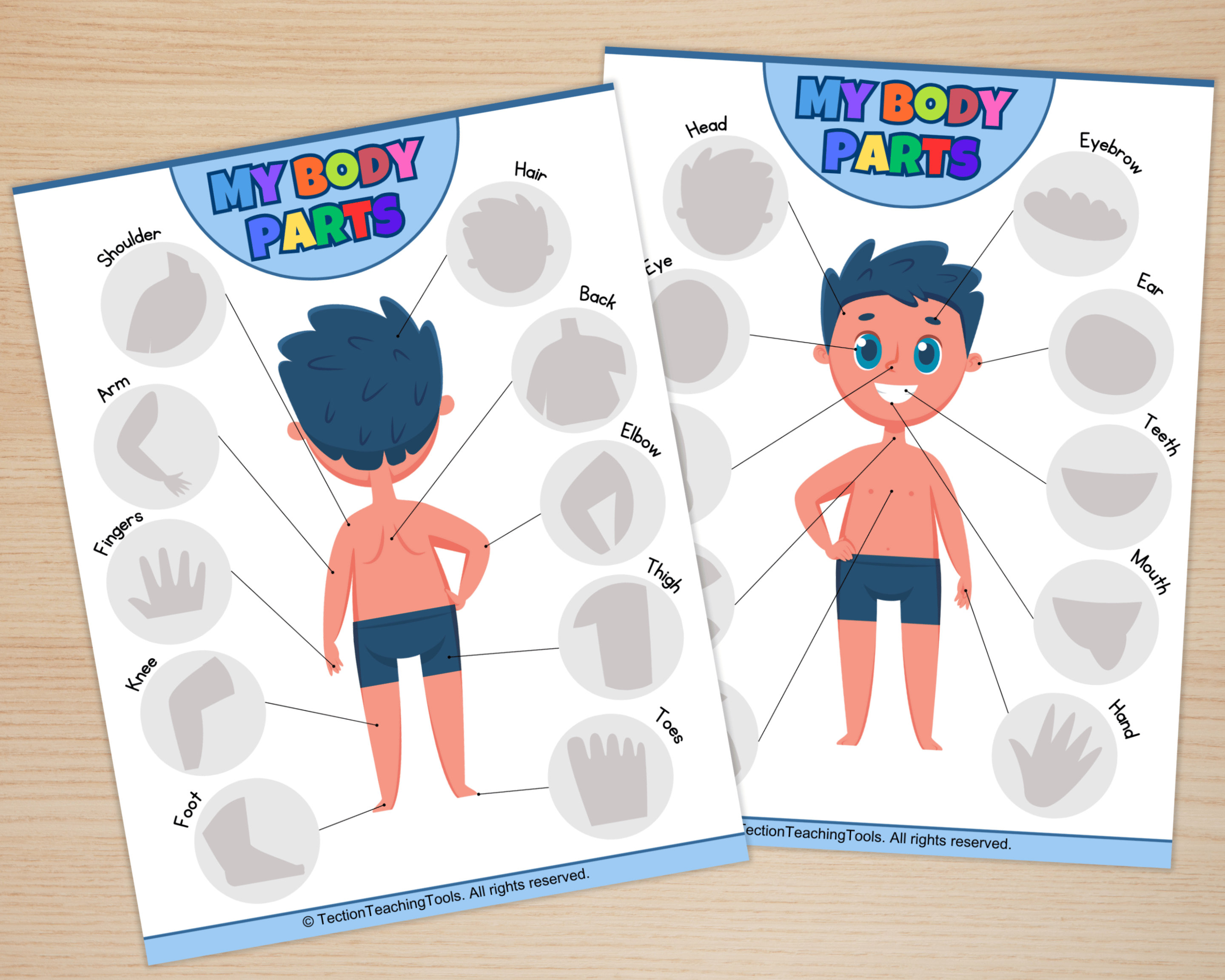 Body Parts Matching Activity | Preschool Activity | Parts of the Body ...