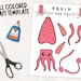 Printable Squid Craft | Sea Life Activity | Ocean Animal Craft | Color ...