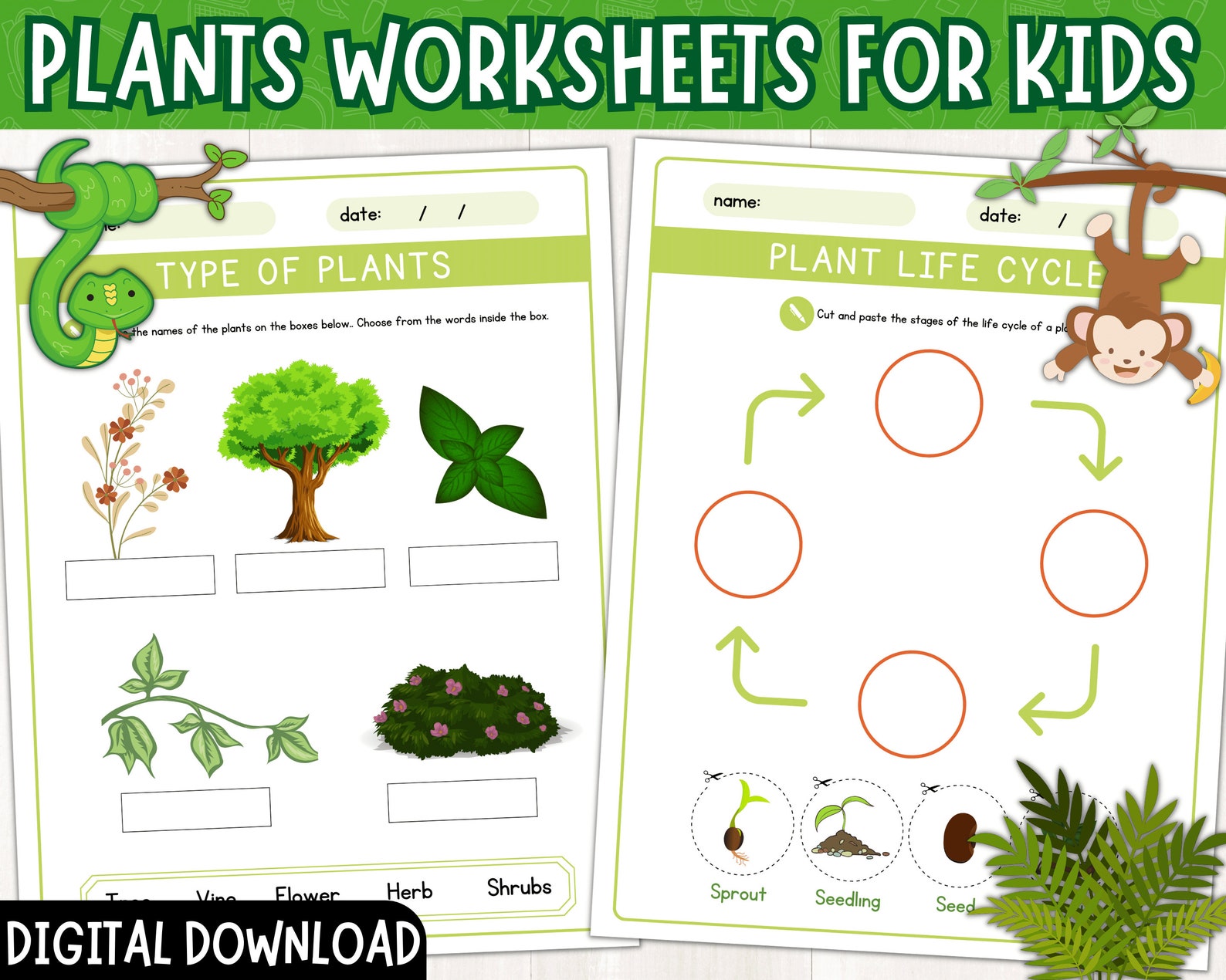 Types of Plants Worksheet | Plant Life Cycle Activity | Types of Plants ...