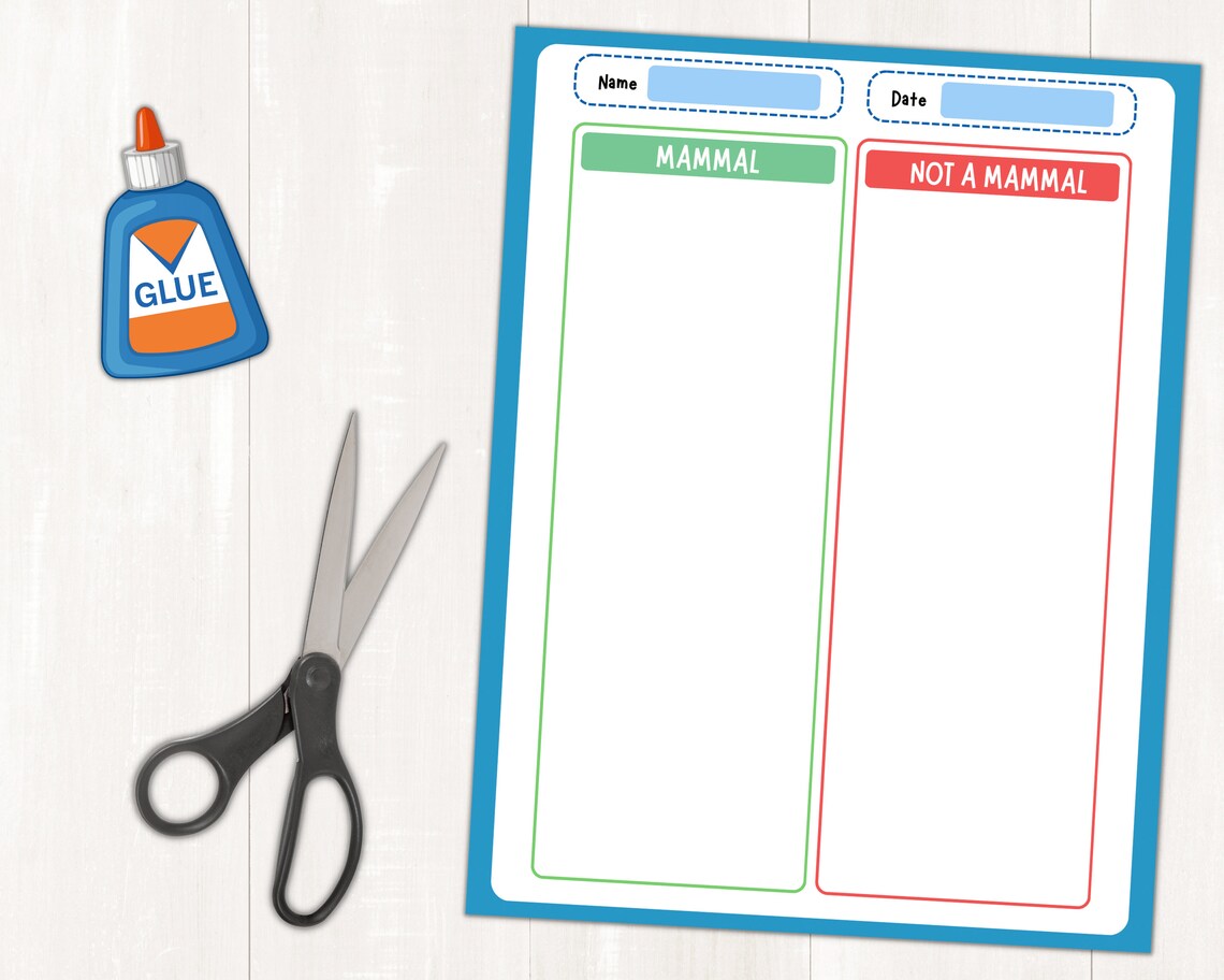 Mammal Vs. Not a Mammal Picture Sort Animals Sorting Activity Animal ...