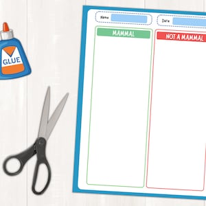 Mammal Vs. Not a Mammal Picture Sort | Animals Sorting Activity ...