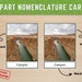 Landforms Montessori 3-part Cards Types of Landforms Flashcards With ...