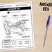 Parts of the Ear Diagram Worksheet | Anatomy of the Ear | Ear Anatomy ...