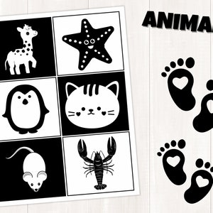 186 Printable Sensory Cards, High Contrast Baby Cards, Black & White ...