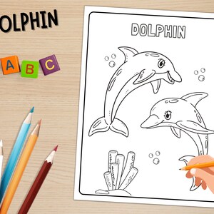 Ocean and Sea Animals Coloring Pages | Sea Life Coloring Sheets ...