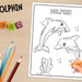 Ocean and Sea Animals Coloring Pages Sea Life Coloring Sheets Summer ...