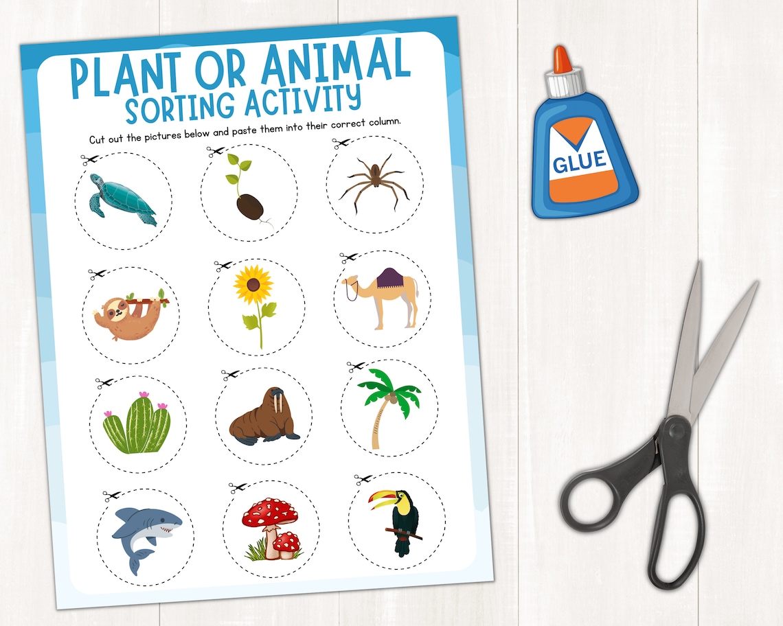 Plant or Animal Sorting Activity | Plant and Animal Printable ...