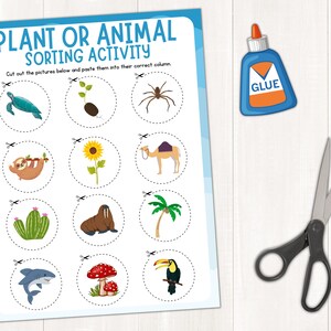 Plant or Animal Sorting Activity | Plant and Animal Printable ...