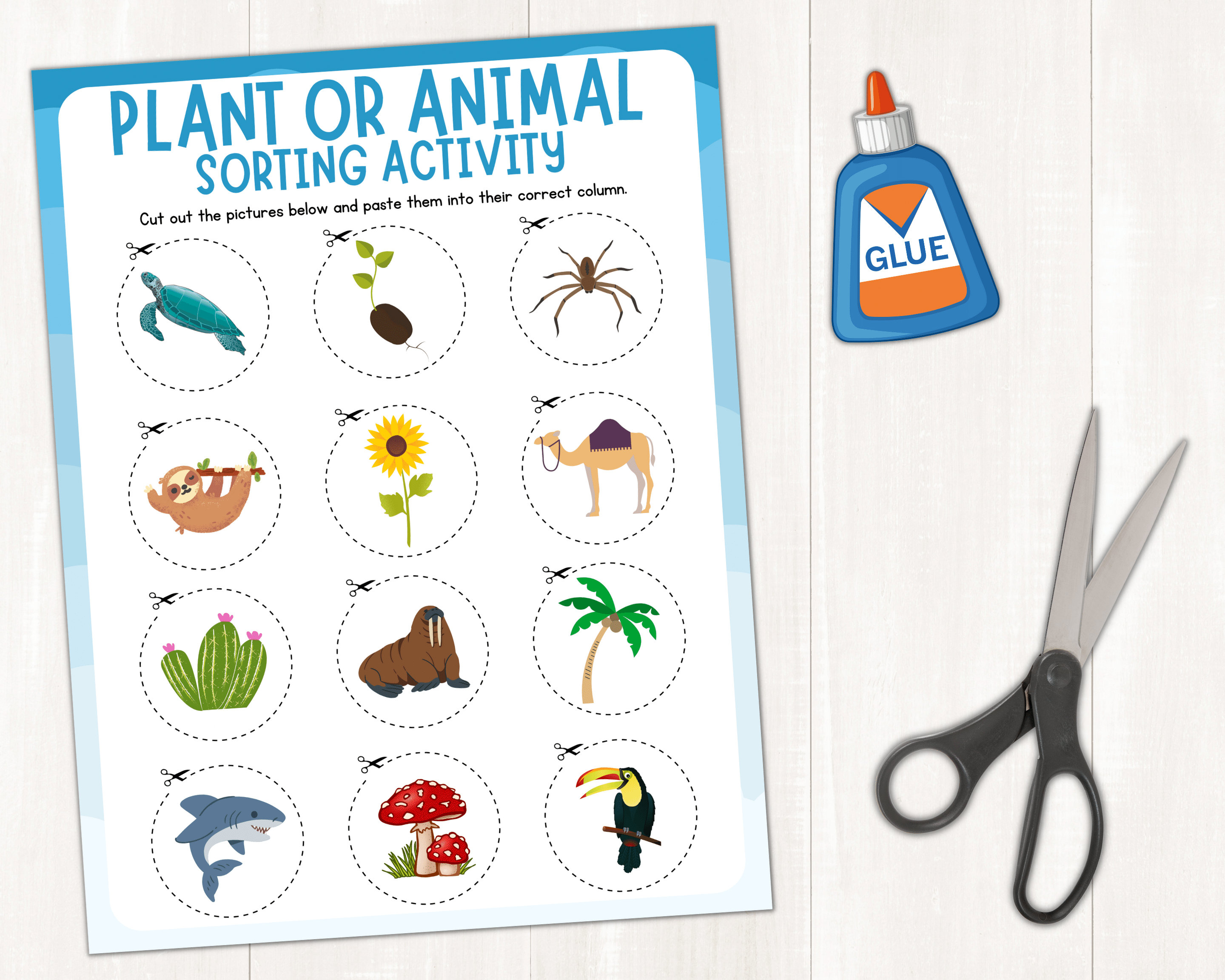 Plant or Animal Sorting Activity | Plant and Animal Printable ...