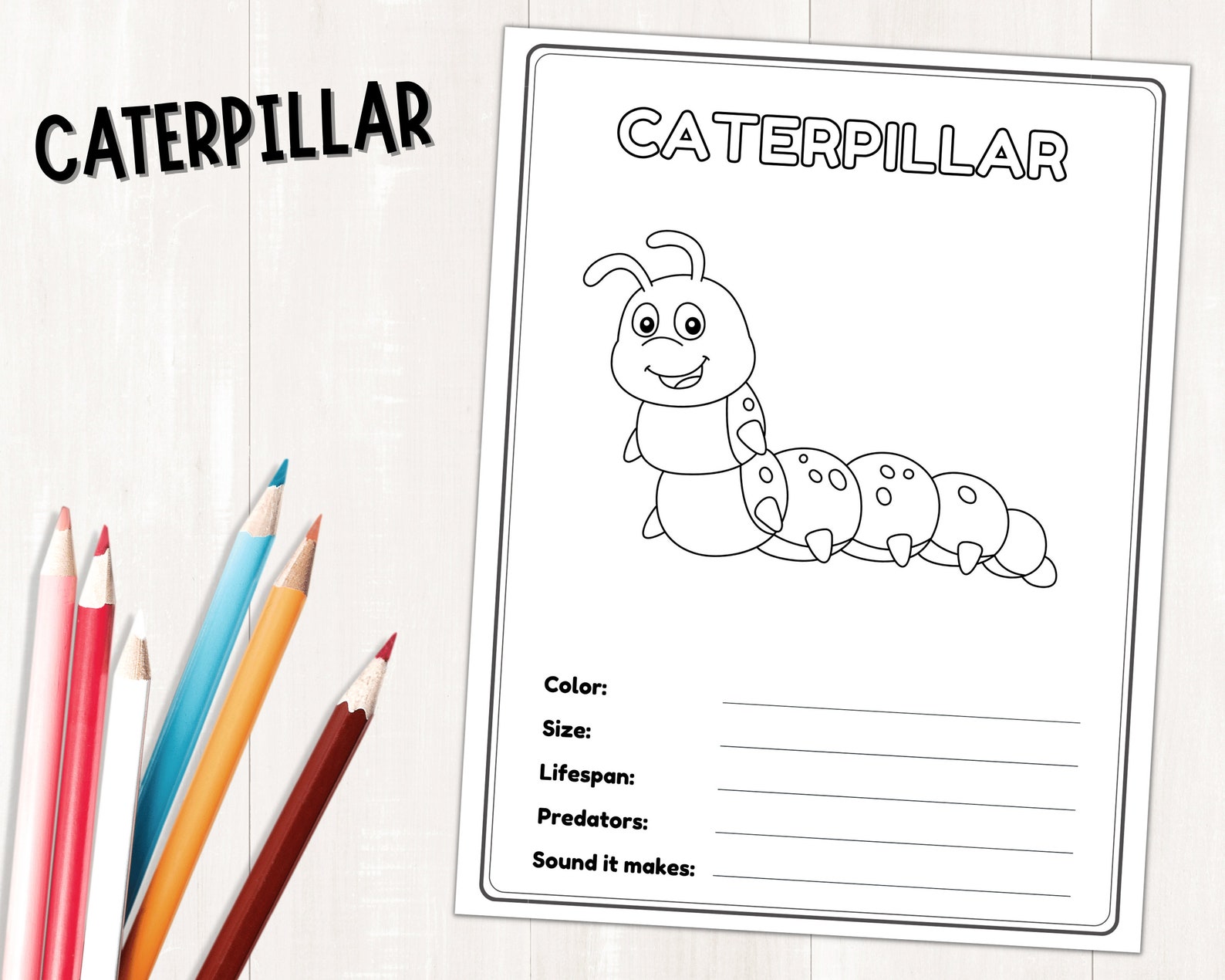 Printable Insects Coloring Pages for Kids, Insects Research Activity ...
