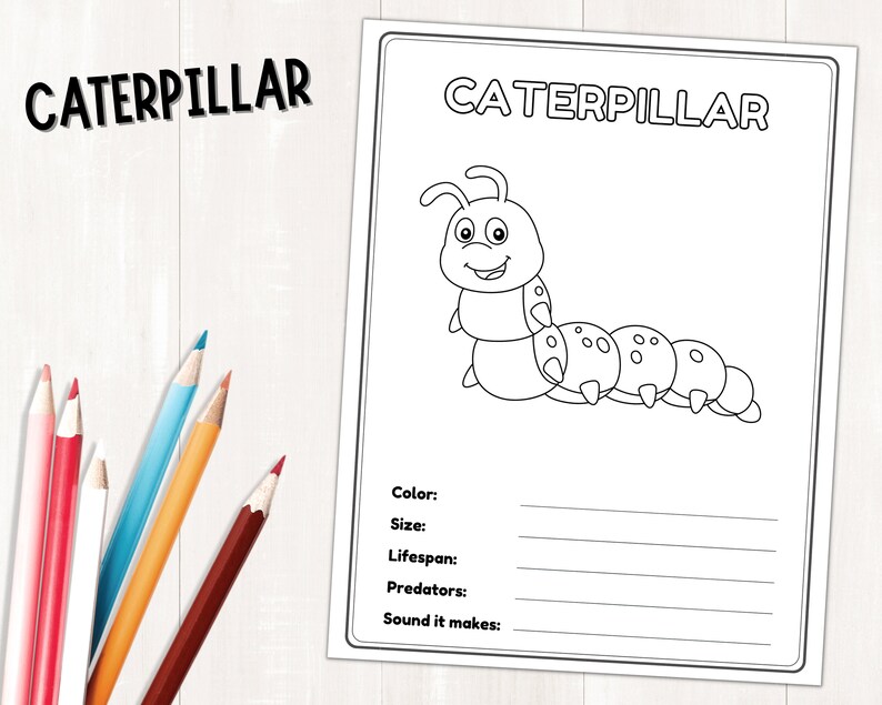 Printable Insects Coloring Pages for Kids, Insects Research Activity ...