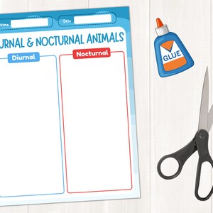 Nocturnal and Diurnal Animals Sorting Activity | Printable | Real ...