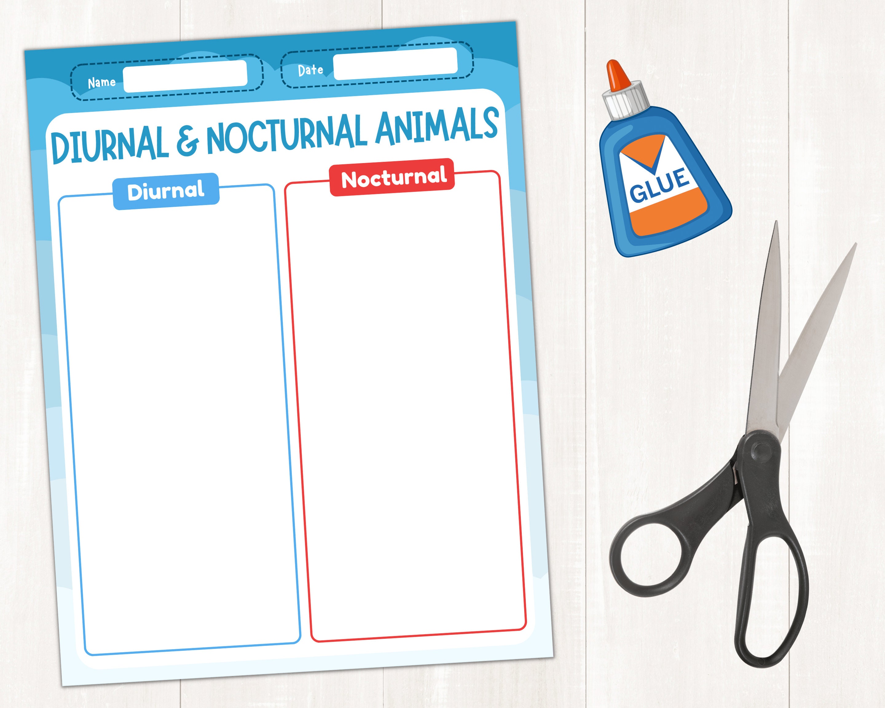 Nocturnal and Diurnal Animals Sorting Activity | Printable | Real ...