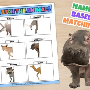 African Animals Halves Matching Printable Activity | Animal Matching ...