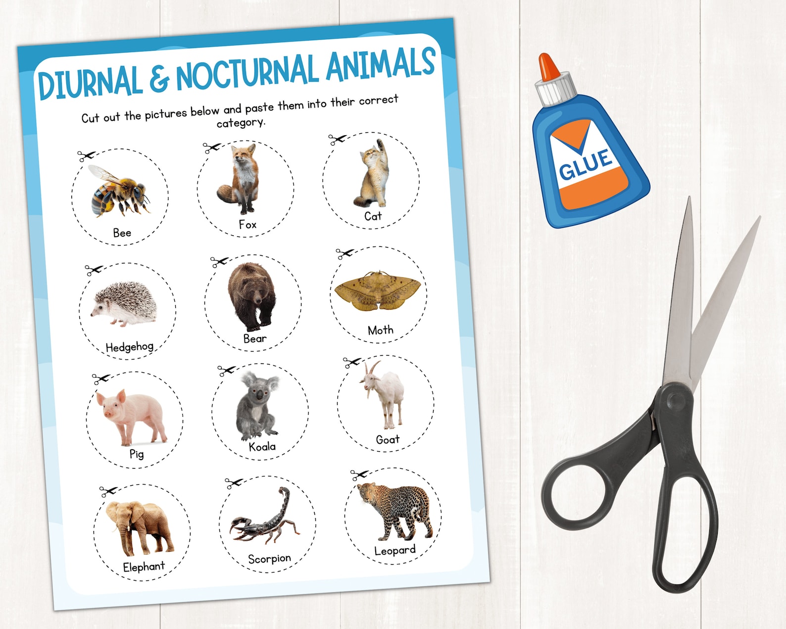 Nocturnal and Diurnal Animals Sorting Activity | Printable | Real ...