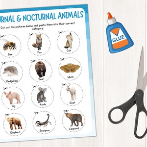 Nocturnal and Diurnal Animals Sorting Activity | Printable | Real ...