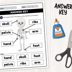 Printable Human Skeleton Labelling Worksheets | Label the Bones ...