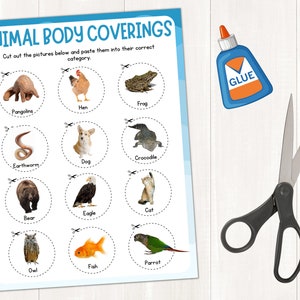 Animal Body Coverings Sorting Activity | Scales, Feathers, Fur, and ...
