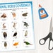 Animal Body Coverings Sorting Activity | Scales, Feathers, Fur, and ...