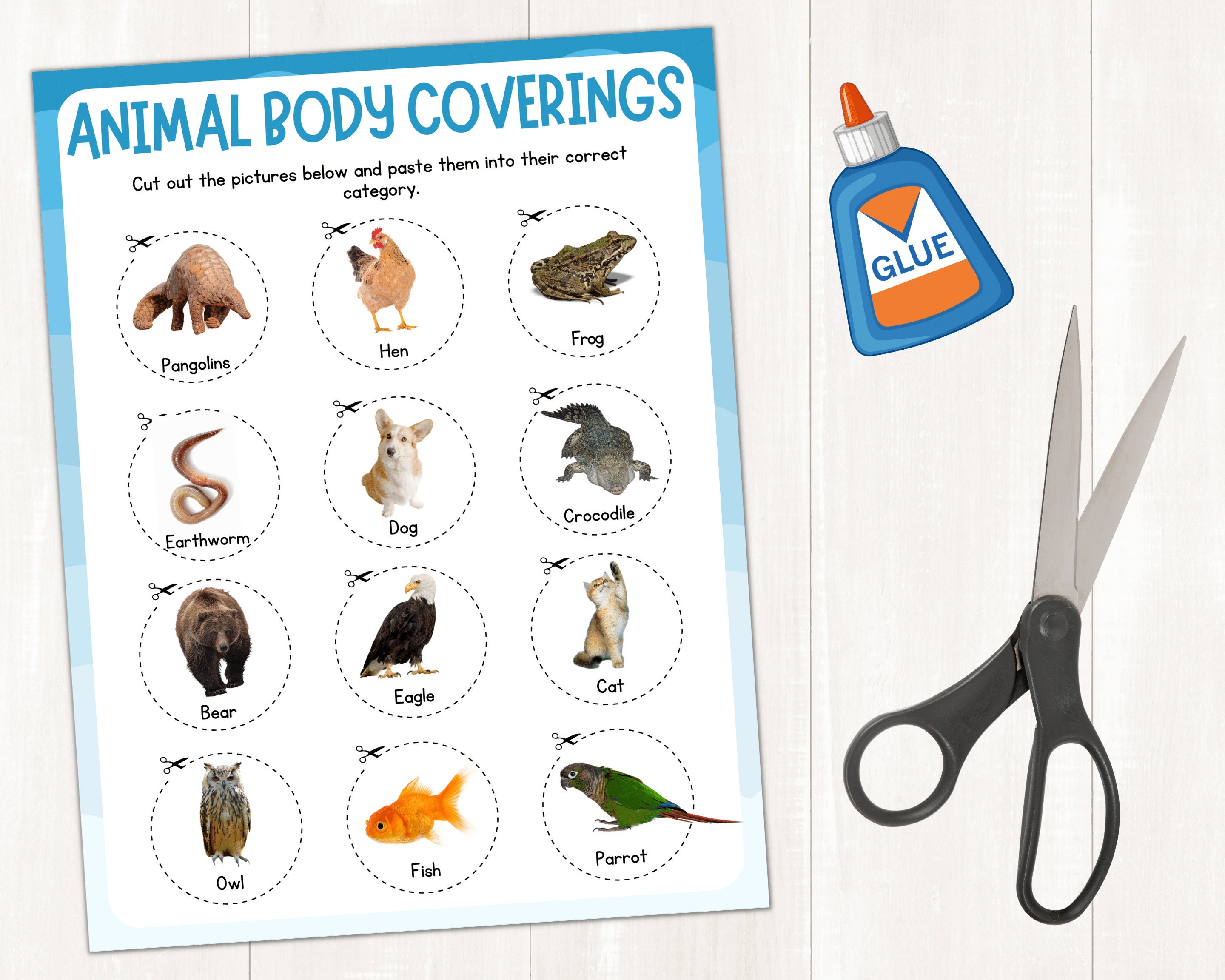 Animal Body Coverings Sorting Activity | Scales, Feathers, Fur, and ...