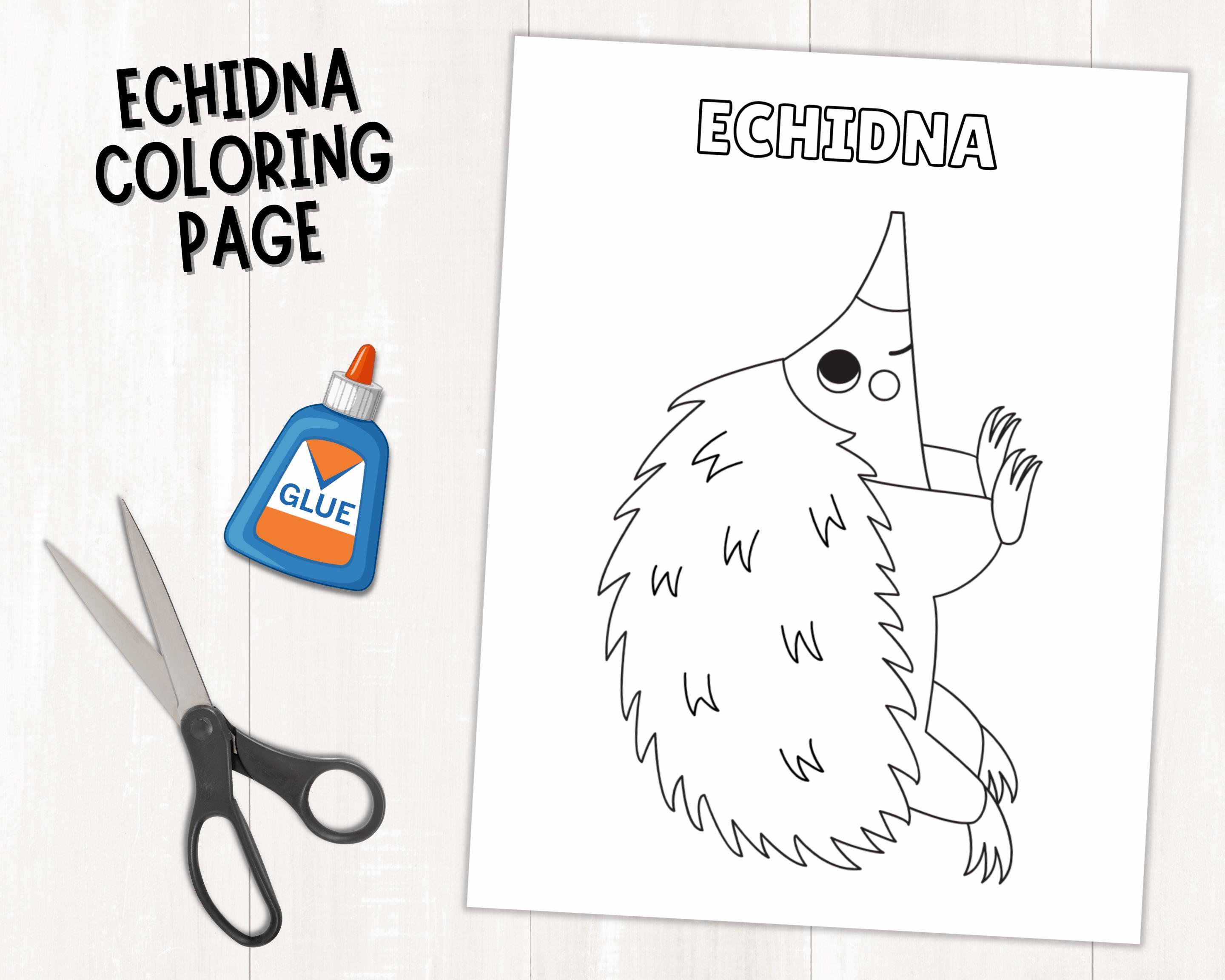 Echidna Craft: Australian Animal Cut & Paste Activity With Coloring ...