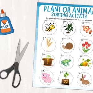 Plant or Animal Sorting Activity | Plant and Animal Printable ...