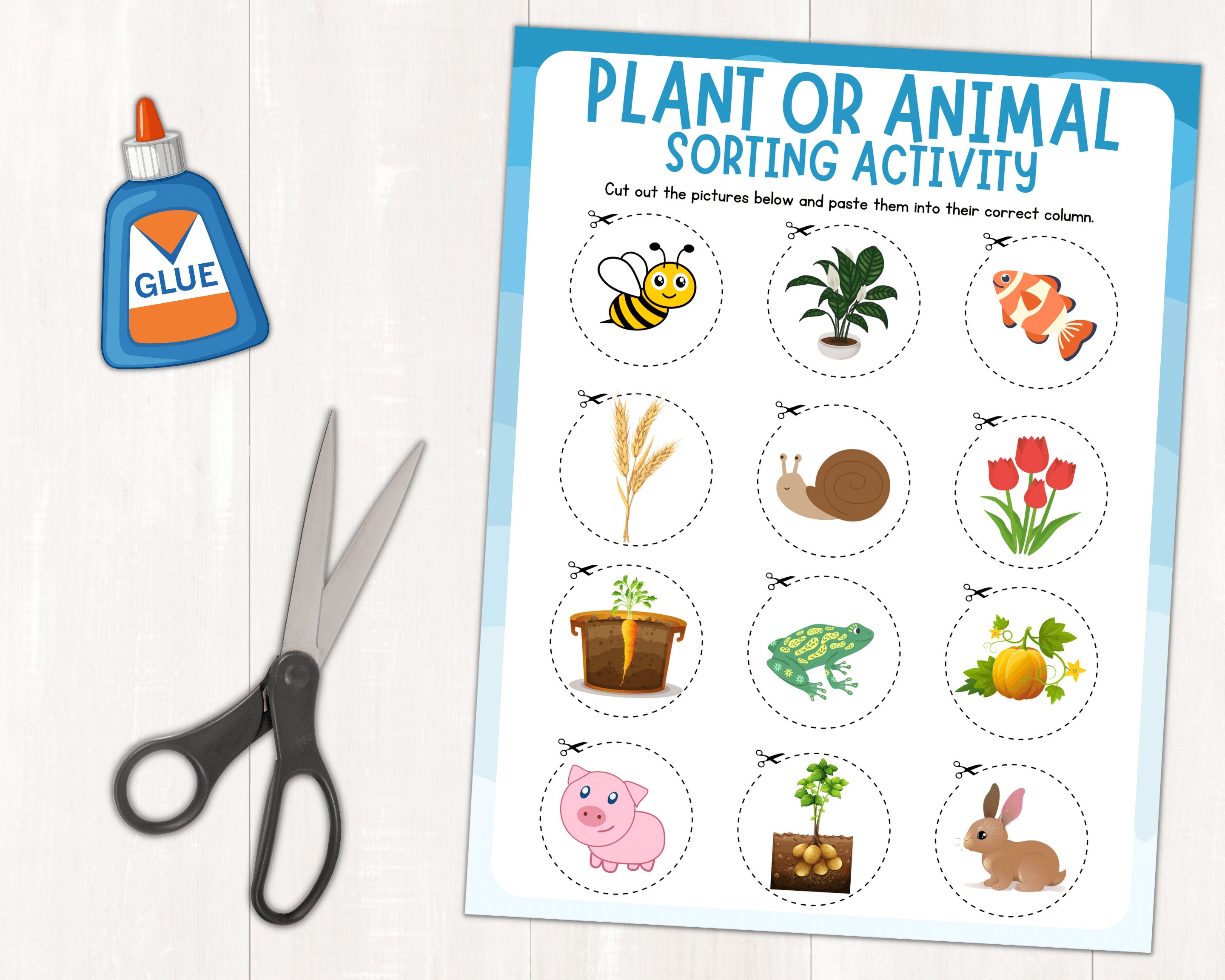 Plant or Animal Sorting Activity | Plant and Animal Printable ...