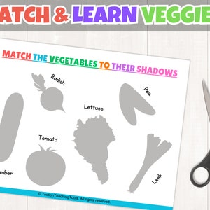Fruit & Vegetable Shadow Matching Activity, Learn Fruits Veggies Names ...