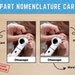 Medical Tools Printable Flashcards | Medical Instruments 3-parts Cards ...