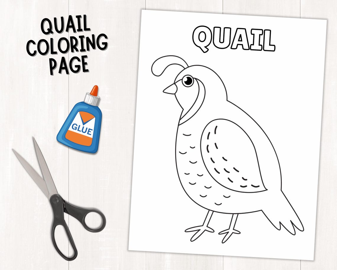Printable Quail Craft Template | Build a Bird Craft | Color, Cut, and ...