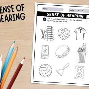 My Five Senses Activities Worksheets, 5 Senses Coloring Sheets ...