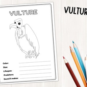 Printable Wild Animals Coloring Pages for Kids, Wild Animals Research ...
