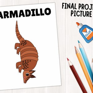 Printable Armadillo Craft for Kids | Build an Armadillo | Summer ...