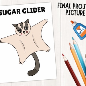 Printable Sugar Glider Craft for Kids | Australian Nocturnal Animal ...