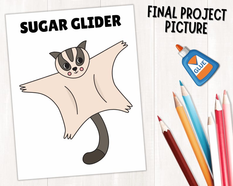 Printable Sugar Glider Craft for Kids | Australian Nocturnal Animal ...