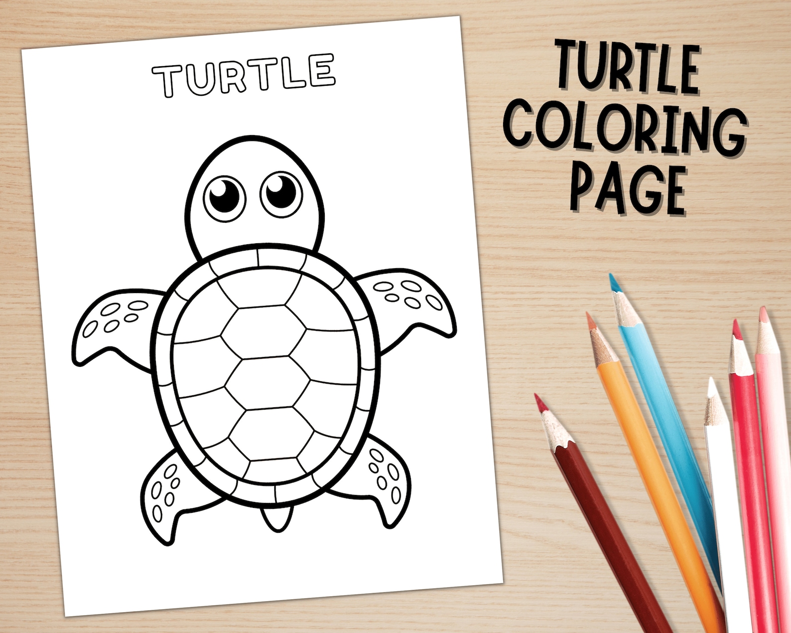 Sea Turtle Craft for Kids Sea Life Activities Ocean Animal Craft Cut ...