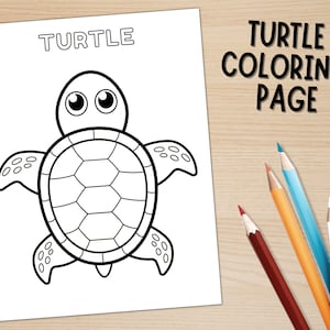 Sea Turtle Craft for Kids | Sea Life Activities | Ocean Animal Craft ...