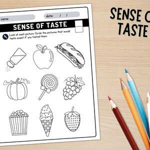 My Five Senses Activities Worksheets, 5 Senses Coloring Sheets ...