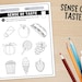 My Five Senses Activities Worksheets, 5 Senses Coloring Sheets ...