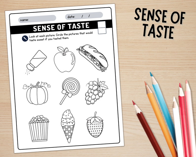 My Five Senses Activities Worksheets, 5 Senses Coloring Sheets ...