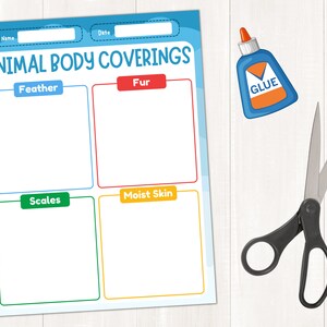 Animal Body Coverings Sorting Activity | Scales, Feathers, Fur, and ...